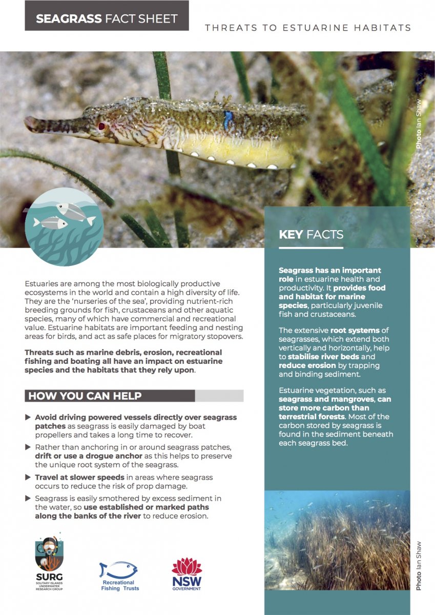 ESTUARY FACT SHEETS – Solitary Islands Underwater Research Group